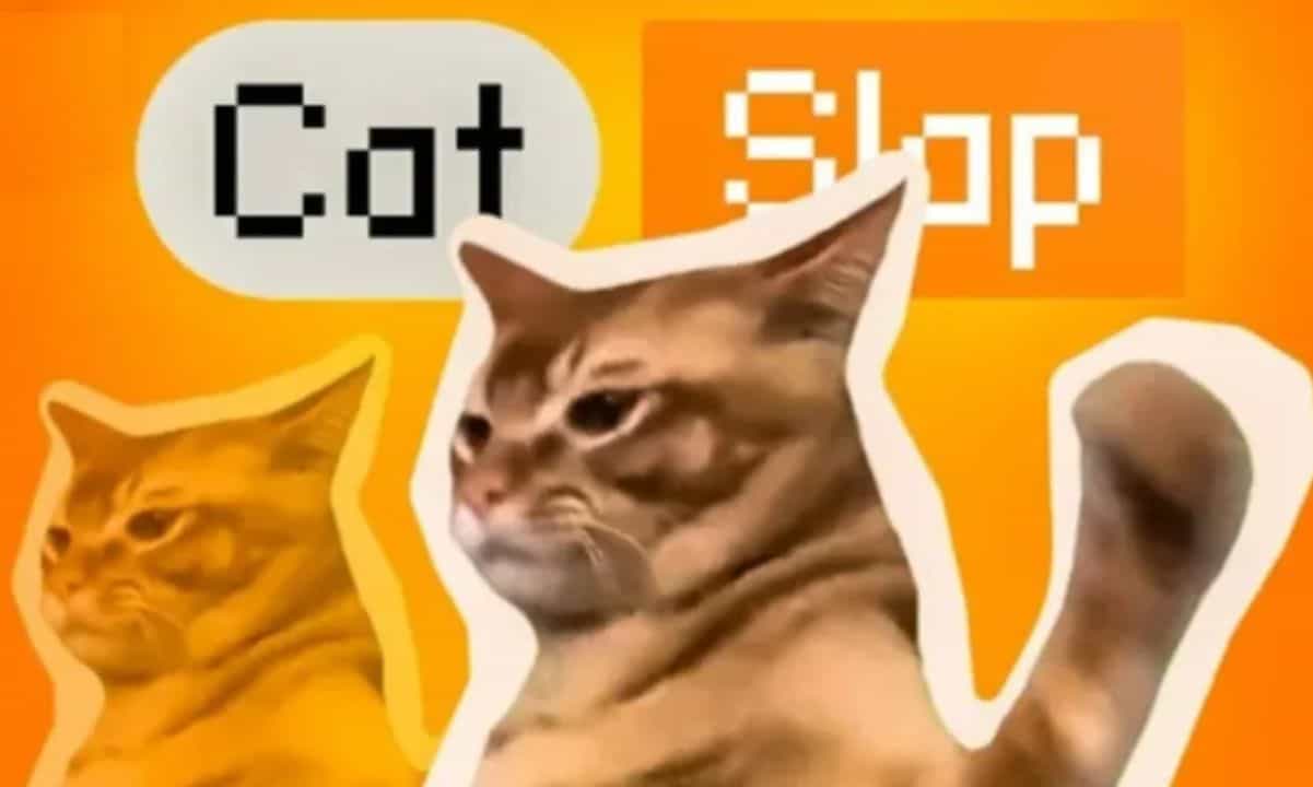 CatSlap Token kaufen 2025 ️ Wie und wo SLAP kaufen?