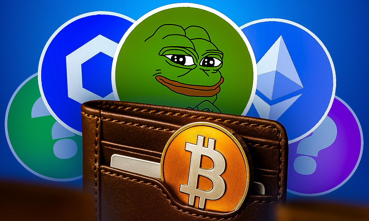 Ethereum, Chainlink und Pepe: So viele Coins halten die Top 10 Wallets ...