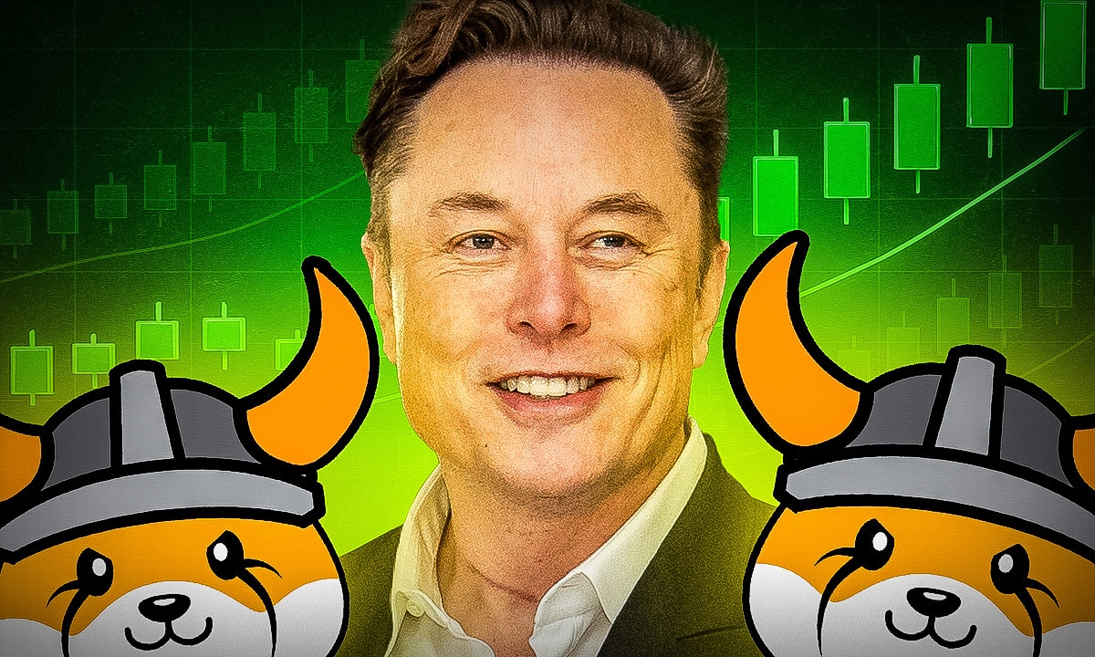 Elon Musk pumpt wieder Altcoins: Wie ein Shiba Inu Bild den FLOKI Kurs ...