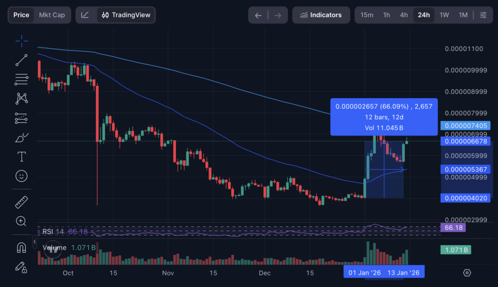 PEPE setzt die Rallye fort: Das Meme Coin Zeitalter beginnt - 99bitcoins DE