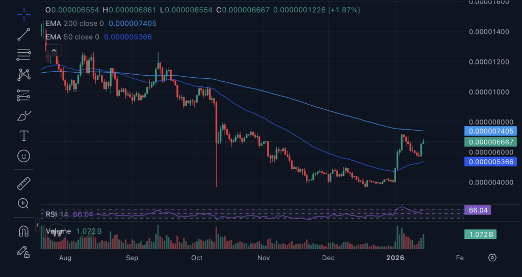 PEPE setzt die Rallye fort: Das Meme Coin Zeitalter beginnt - 99bitcoins DE
