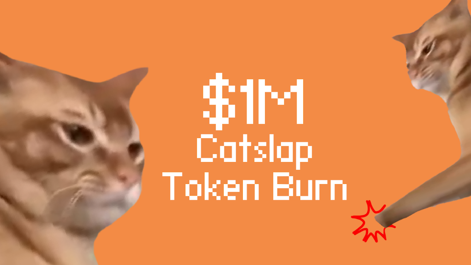 Viral Cat Meme Coin, $SLAP'tan 1 Milyon Dolar Yaktı: Bu Yanma Catslap'ı ...