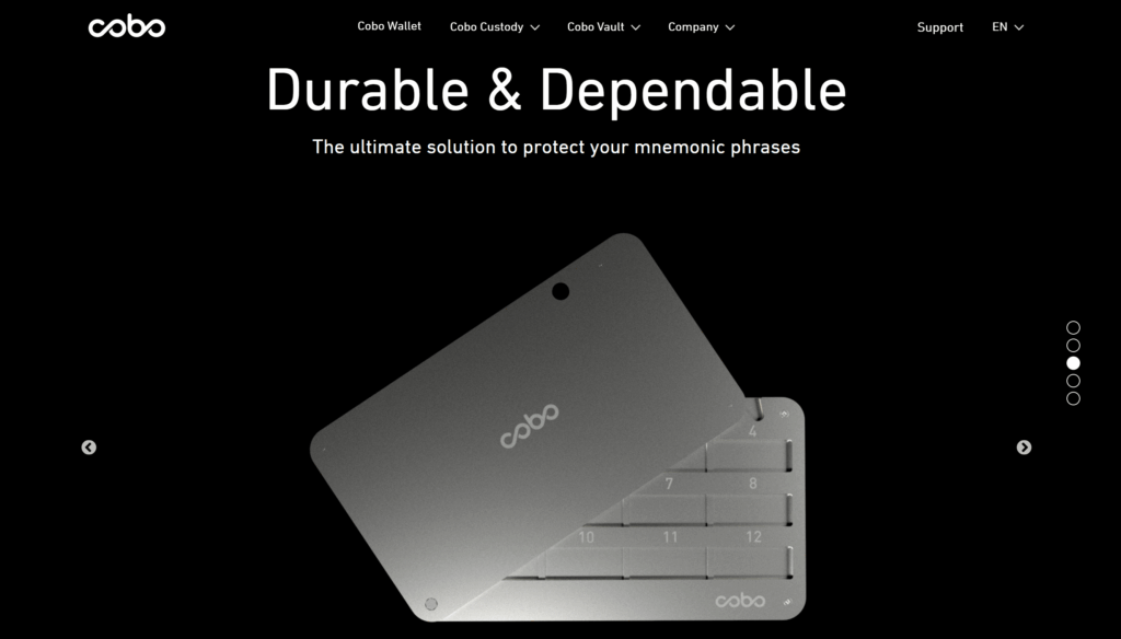 Cobo Tablet Review - Good price, but is it worth it? (2025 Updated)