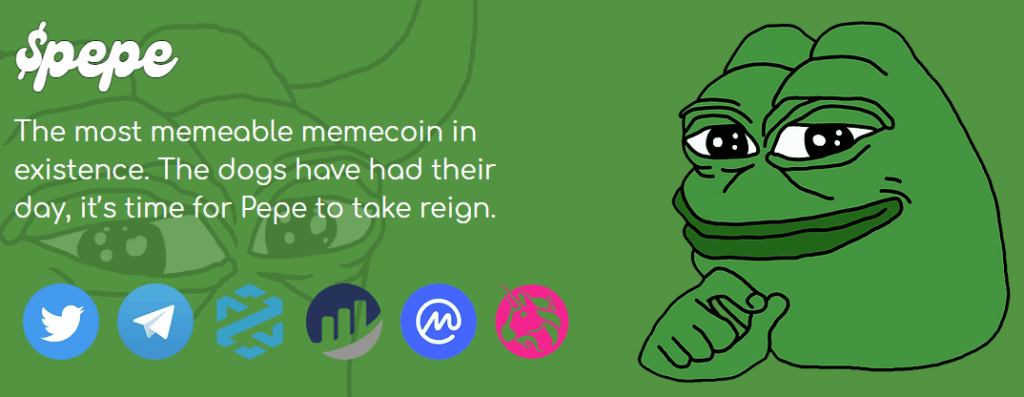 What is Pepe? PEPE Review & Beginner's Guide