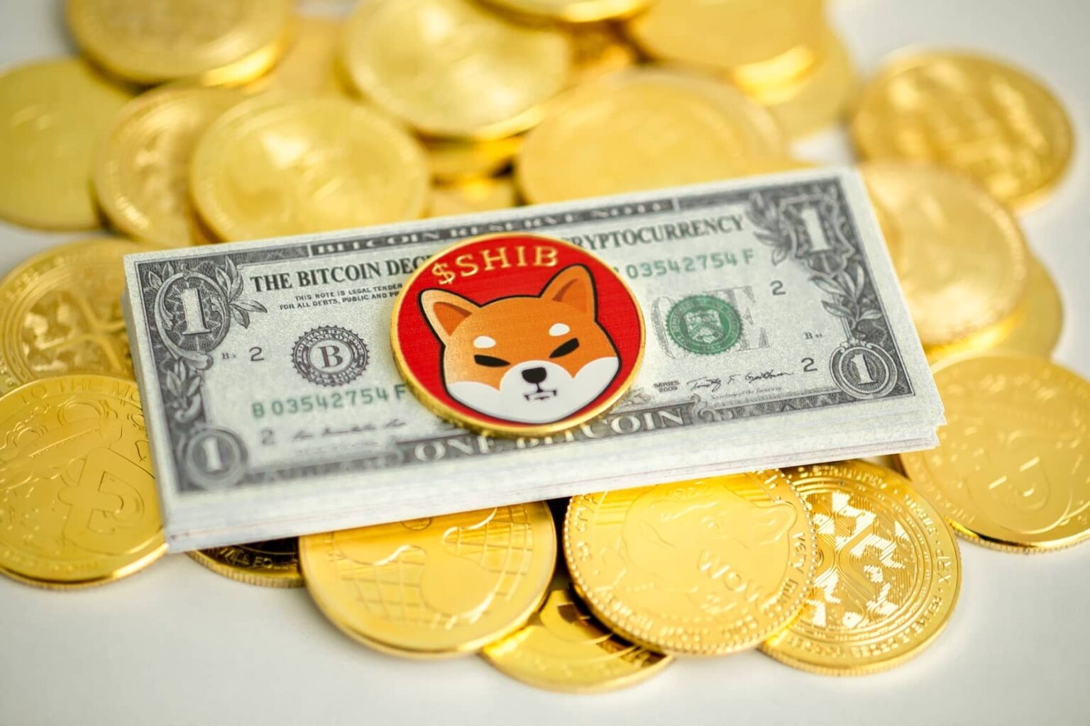 What is Shiba Inu? SHIB Review & Beginner's Guide for 2025