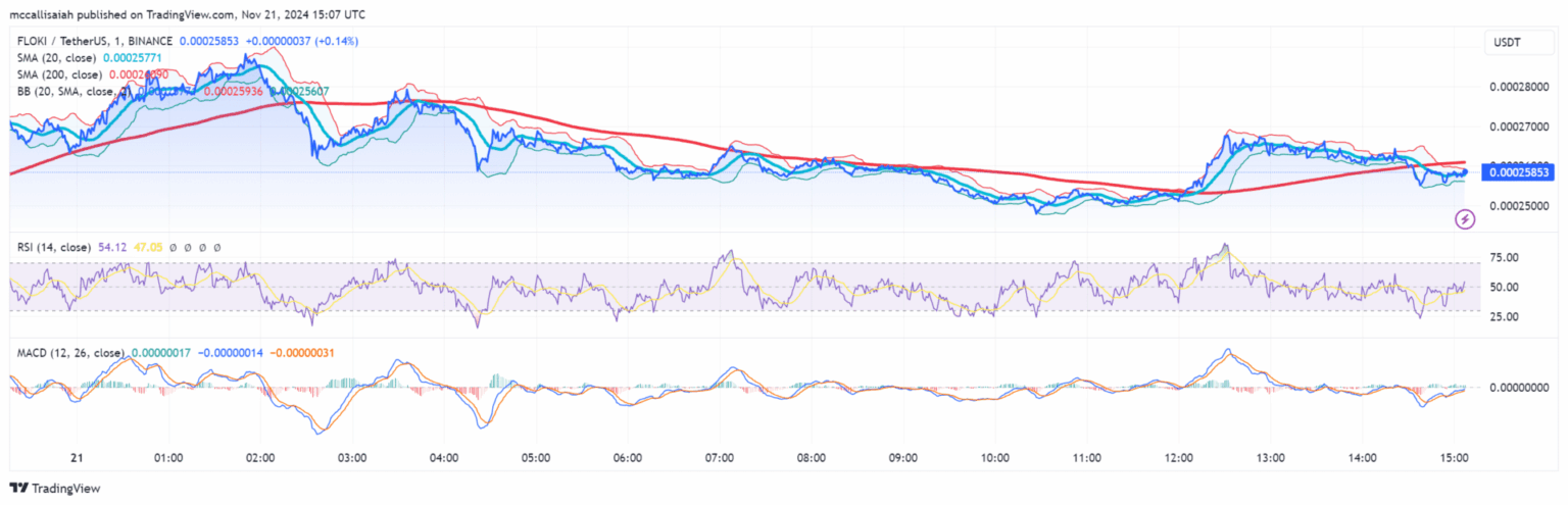 Floki Inu Listed on Coinbase: Here's Everything to Know About