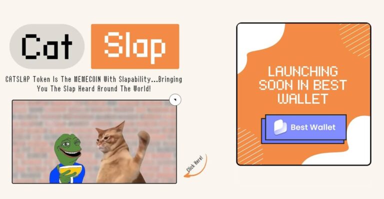 The 13 Best Solana Meme Coins to Buy in 2024 - Updated List