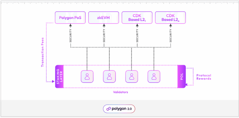Polygon Review: Beginner's Guide to POL