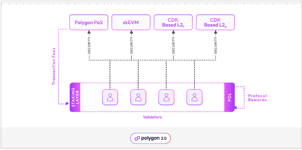 Polygon Review: Beginner's Guide to POL