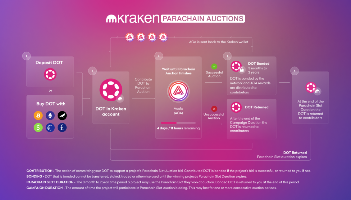 Polkadot Review 2025: Beginner's Guide to DOT