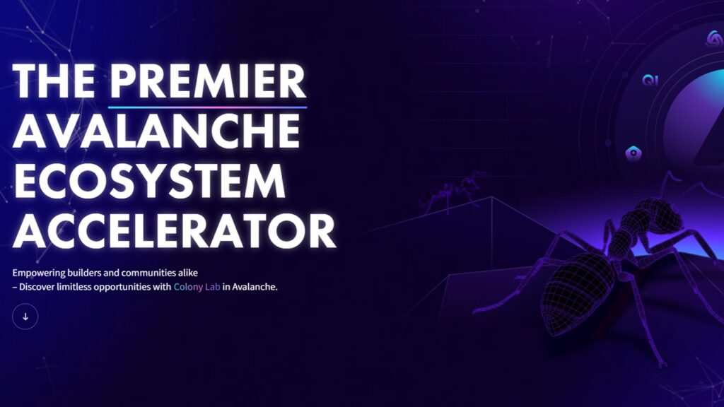 Avalaunch Review (2026): The First Avalanche-Based Launchpad