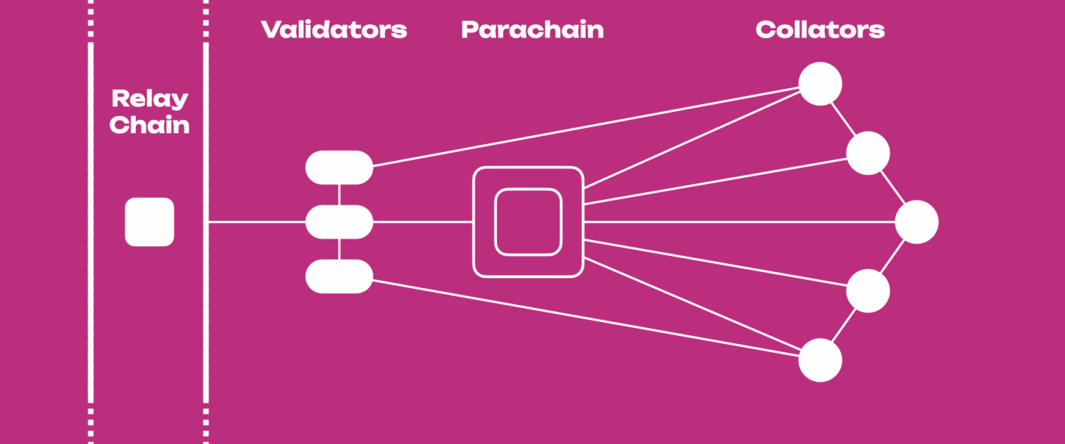 Polkadot Review 2026: Beginner's Guide to DOT