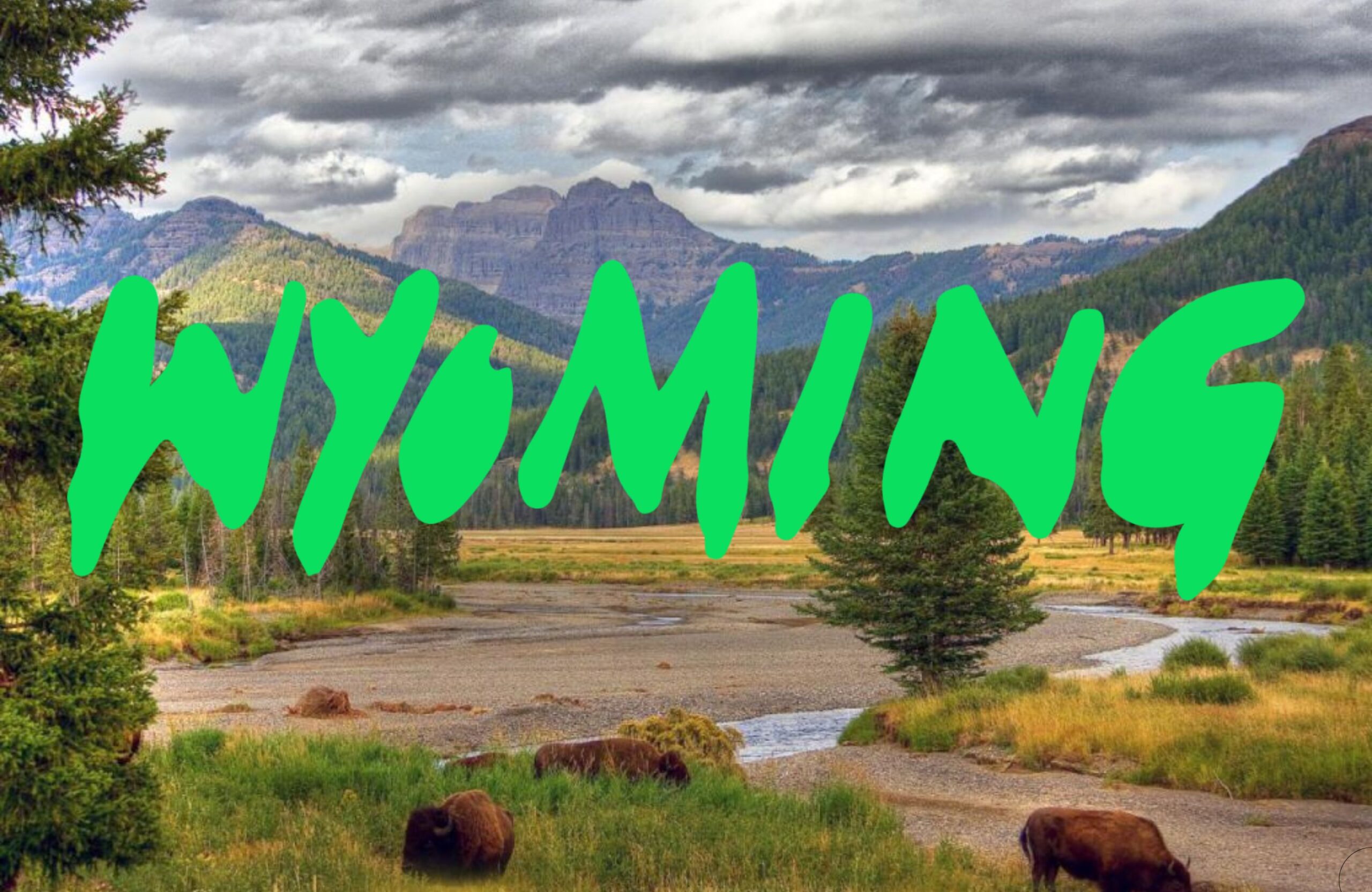 Wyoming Stablecoin: Are Stablecoins About to Kill Federalization? WYST ...