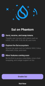Phantom Wallet Review - Pros, Cons, Safety Revealed
