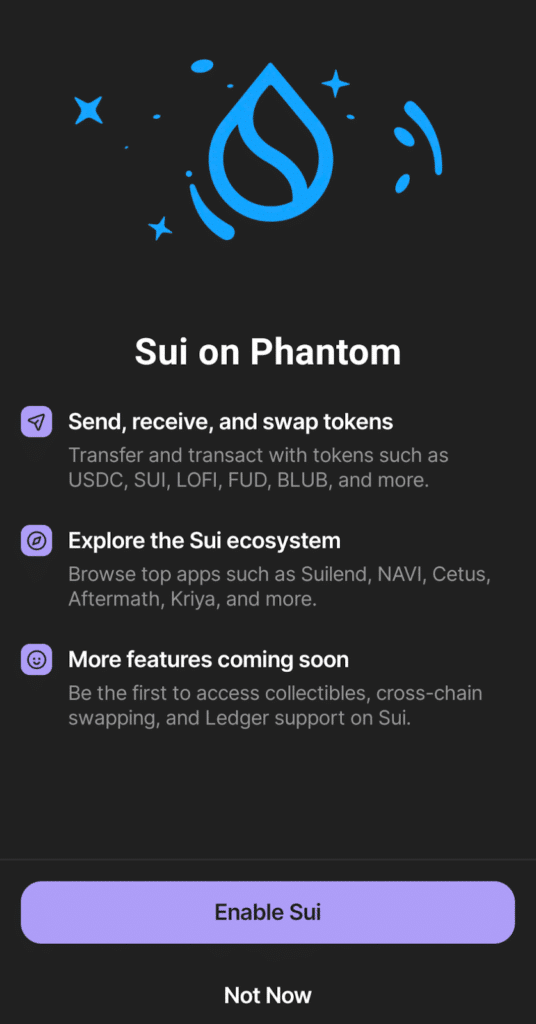 Phantom Wallet Review - Pros, Cons, Safety Revealed