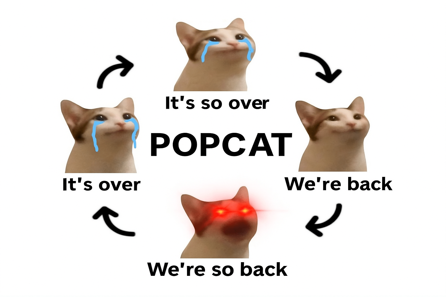 Traders Say POPCAT is The Best Meme Coin to Buy in May 2025 - 99Bitcoins