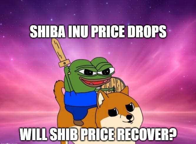 Shiba Inu Price Drops, SHIB Bullish As Meme Coin Market Dip