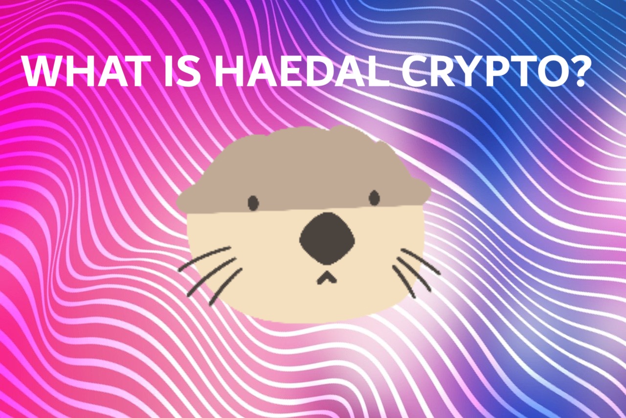 Haedal Crypto Blasts 34%: What is Haedal Crypto and Why Pump?