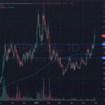 Top 3 Solana Meme Coins to Buy Before June: These Solana Meme Coins ...