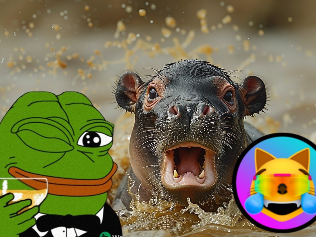 MOG Coin and PEPE Crypto Explode: Moo Deng Next Skyrocket?