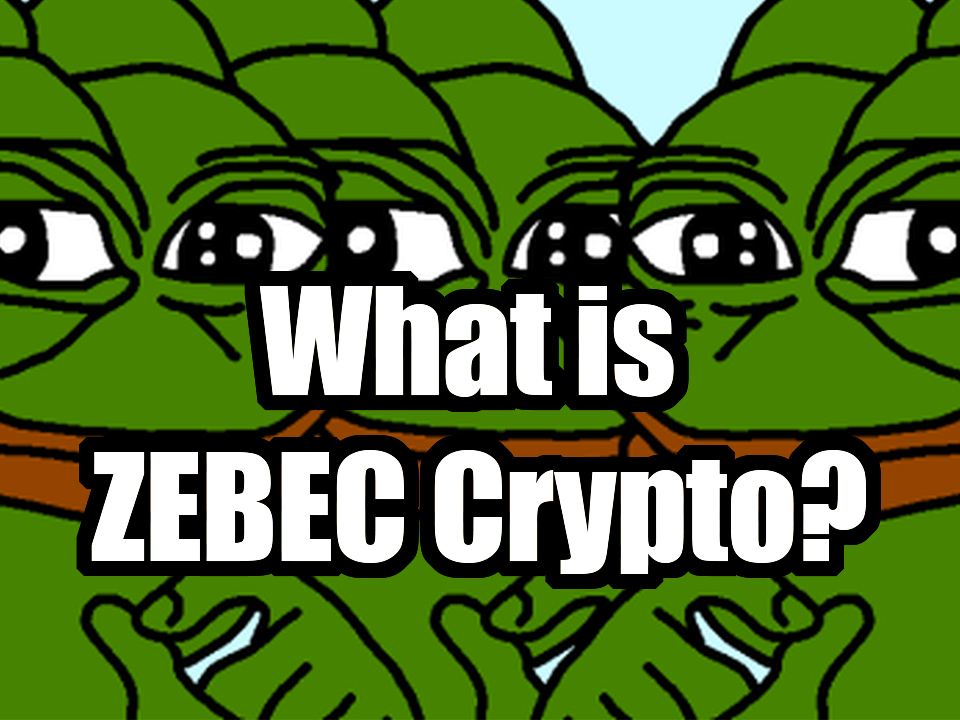 Zebec Crypto Network Jumping After Circle Alliance Program: ZBCN 30% ...