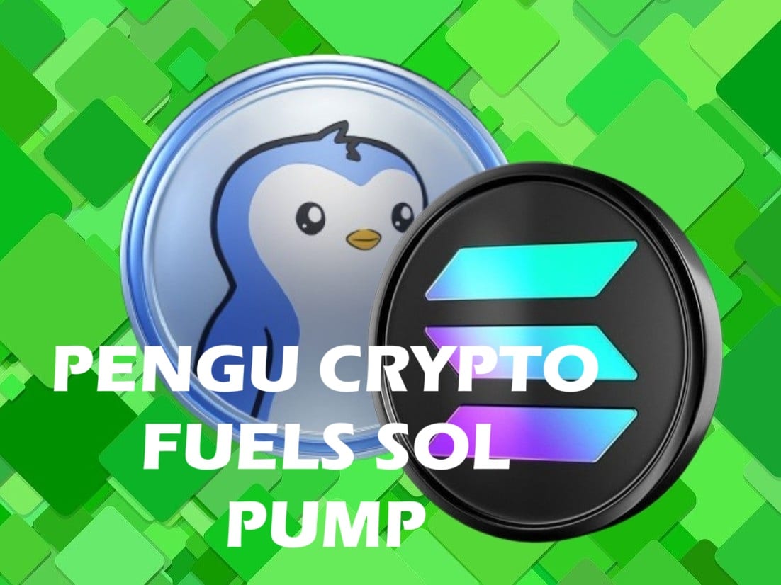 PENGU Crypto Up 15% Overnight as Solana Ecosystem Hots Up