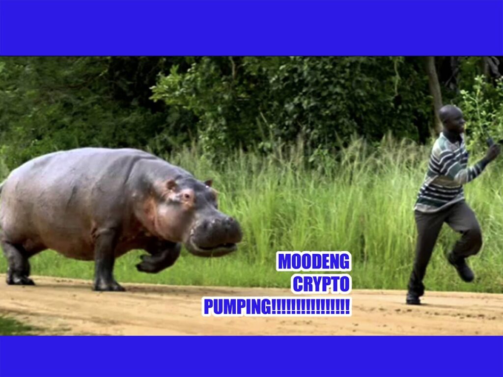 Moodeng Crypto +50% Pump: Something Exciting Coming Soon - 99Bitcoins