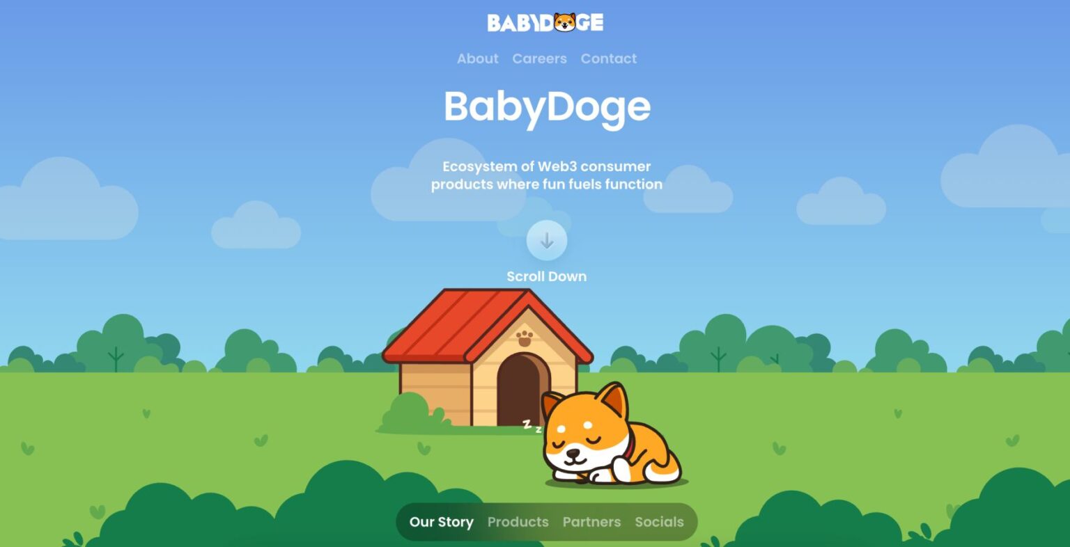 How to Buy Baby Doge Coin (BABYDOGE) - Simple Guide