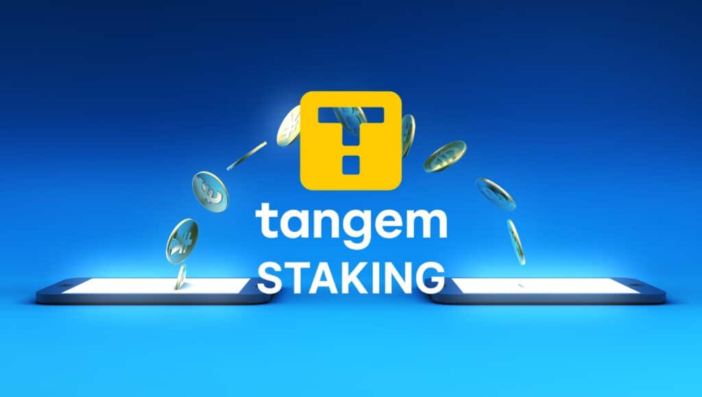 Tangem Staking Review 2026: Pros & Cons