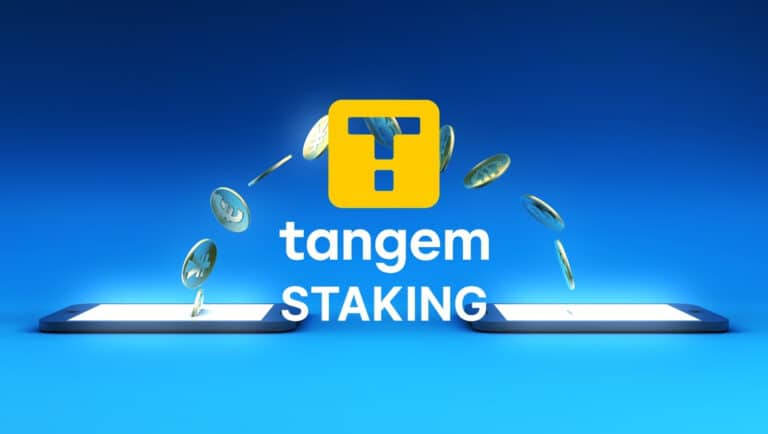 Tangem Staking Review 2026: Pros & Cons