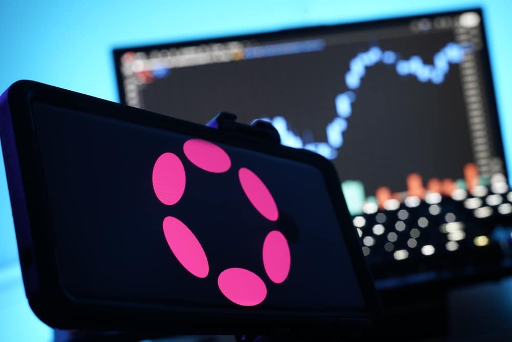 Popular Polkadot (DOT) Wallets in 2026