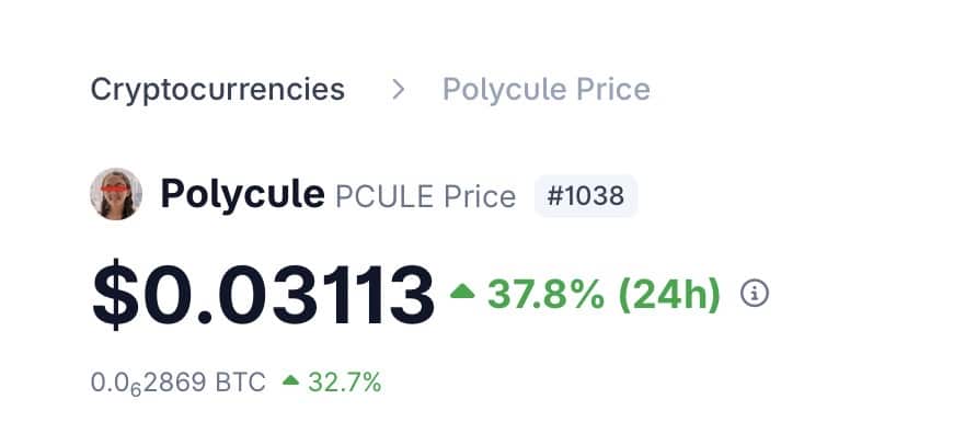Polycule Crypto is Not What You Think: Best Meme Coin to Buy?