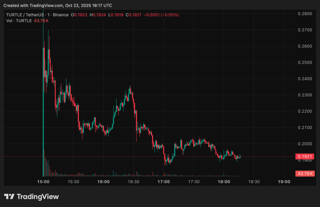 What Is Turtle Crypto? The Web3 Project Backed by ConsenSys and Linea - 99Bitcoins