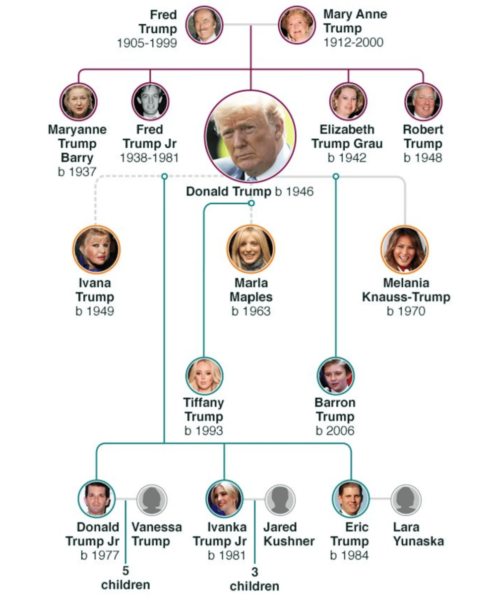 The Trump Family: Business Empire, Politics, and Crypto Ambitions ...