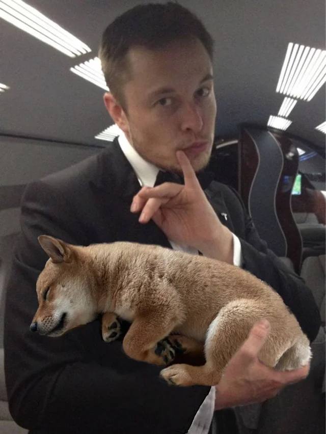 Elon Musk Brings Floki Crypto Back to Life: Price Predictions