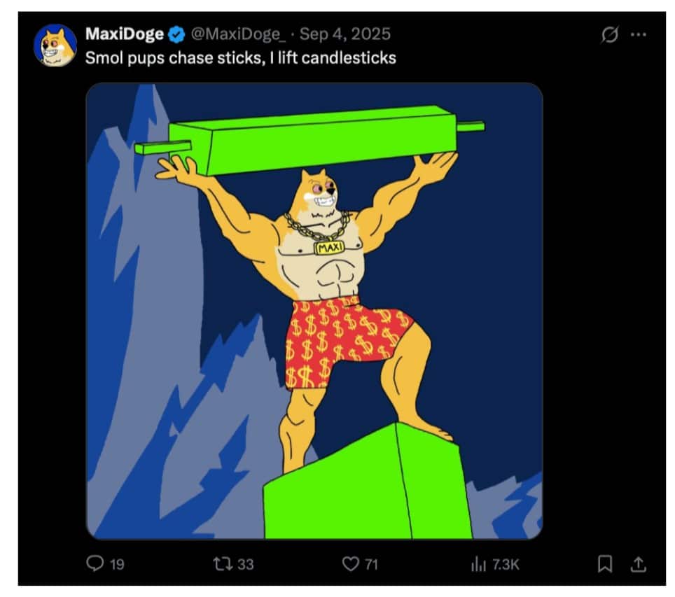 Maxi Doge Ditching the ‘Utility’ to Become the Best Meme Coin of ...