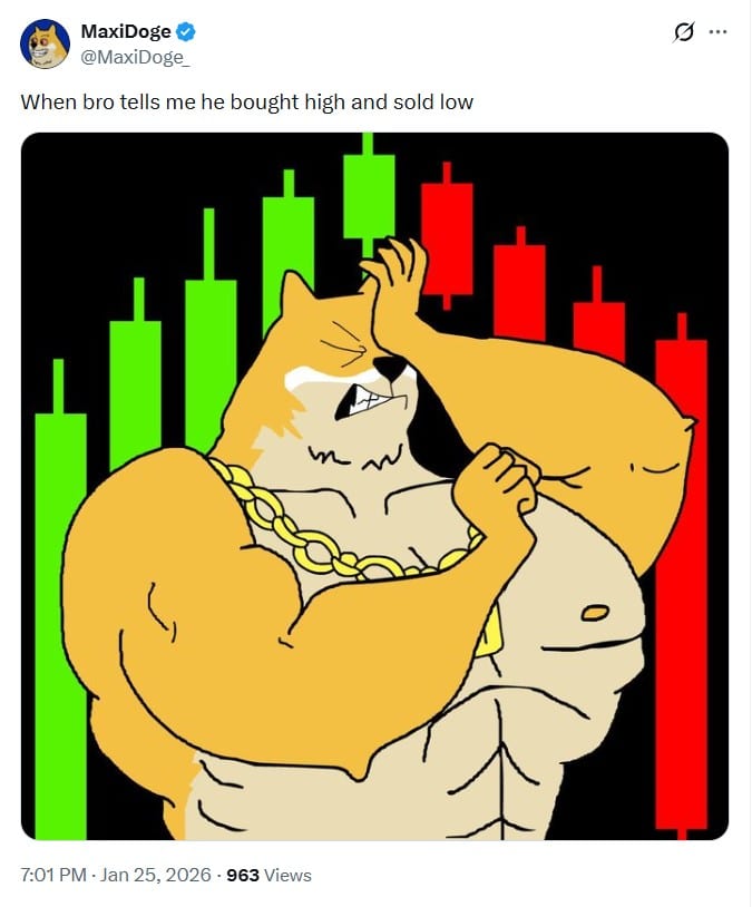 As Dogecoin Enters Wall Street, Is Maxi Doge the New Top Dog for Retail ...