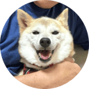 The Origin of Dogecoin to Neiro - Love Story and Crypto Legacies